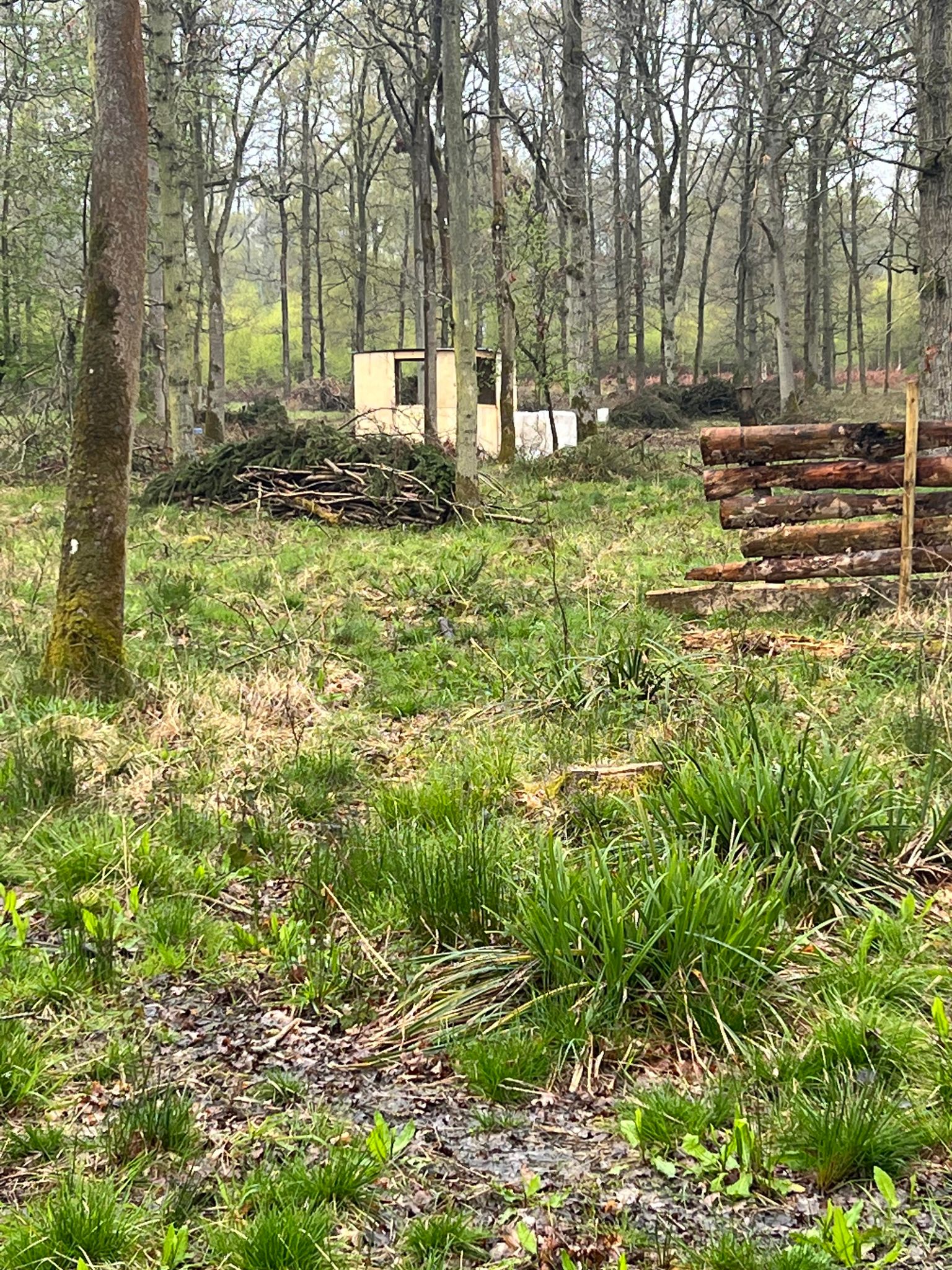 TM Airsoft | Airsoft Site | Redditch | The Site